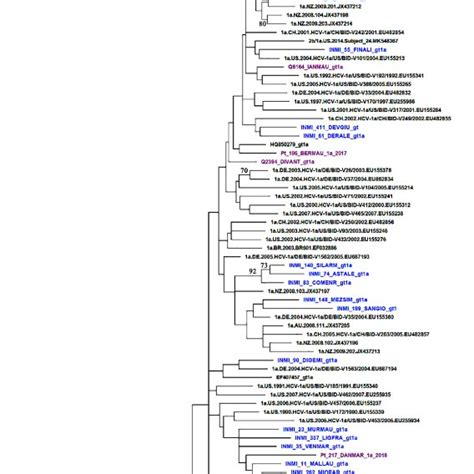 Maximum Likelihood Phylogenetic Tree Phylogenetic Analysis Showing A