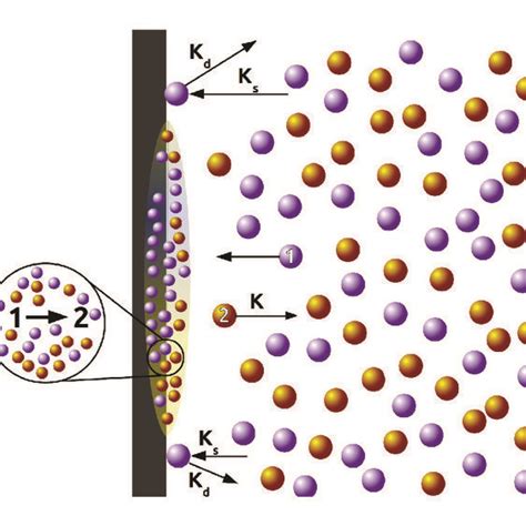 Illustration Of The Interactions Occurring Between Particles And For