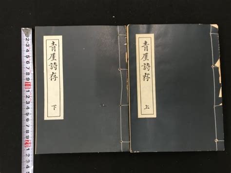 Yahoo オークション 青厓詩存 上下二冊