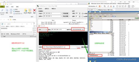 Iis中间件漏洞 Dotnetscan 工具 Csdn博客
