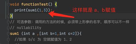【flutter】dart的方法中的可选参数、方法作为参数传递dart 动态参数 Csdn博客