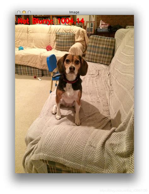 使用opencv进行模糊检测（拉普拉斯算子）cv2laplacian Var Csdn博客