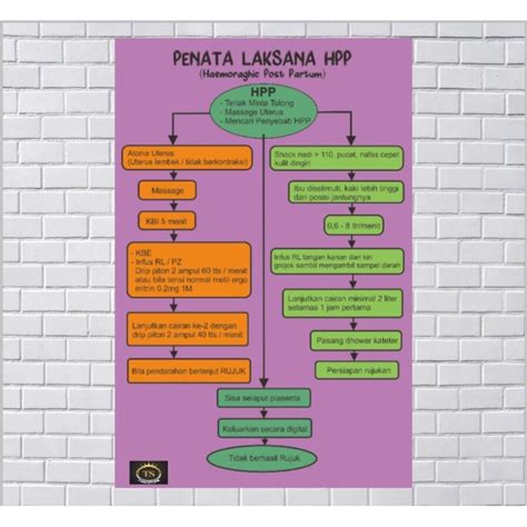 Jual Poster Kebidanan Tentang Penatalaksanaan Hpp Haemoraghic Post