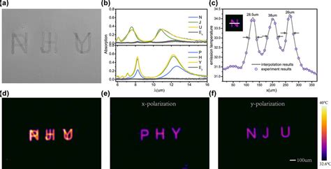Multiplexing Thermal Emission Based On Complex Meta Cavity Patterns Download Scientific