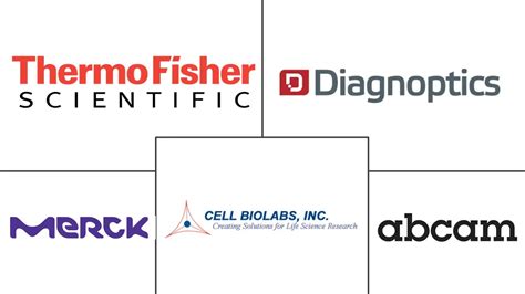 Advanced Glycation End Products Market Size Share And 2030 Growth Trends