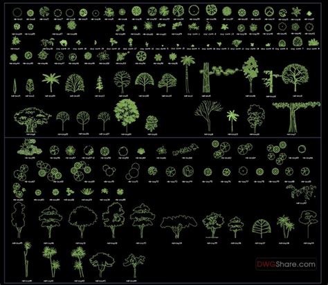Autocad Tree Templates Free Download Printables