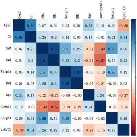 Correlation Heat Map Analysis Between Factors Which Are Basic