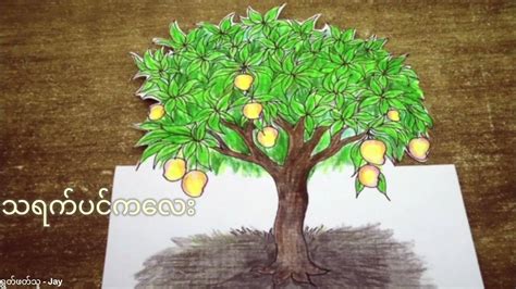 သရက်ပင်ကလေး ခင်ခင်ထူး တင်ဆက်သူ Jay Youtube