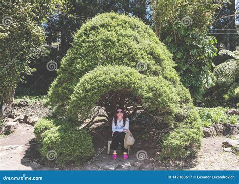 Beautiful Girl Sitting In The Shade Of The Tree Stock Image Image Of Hills Beautiful
