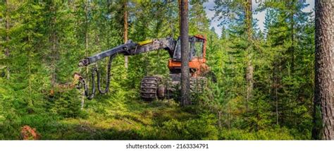 36 Thousand Tree Cutting Machine Royalty Free Images Stock Photos Pictures Shutterstock