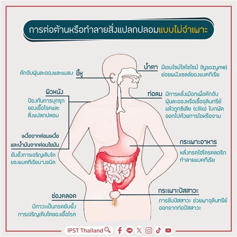 Ipst Thailand Ipst Thailand Added A New Photo