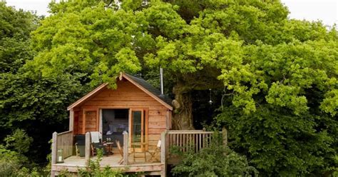 Dreamy Log Cabins And Treehouses For A Cosy Weekend Break Near Bristol Bristol Live