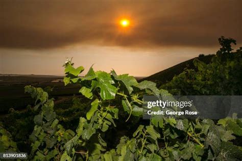 Alamo Fire Photos And Premium High Res Pictures Getty Images