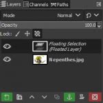 How To Move Selection In GIMP Detailed Guide With Tips