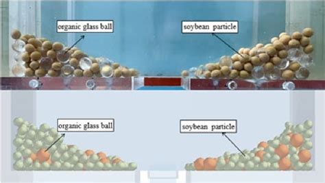 test and simulation diagram of the repose angle of soybean seed download scientific diagram