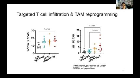 Tao Sun Fus Immunomodulation In Treating Gbm And Alzheimerís Disease