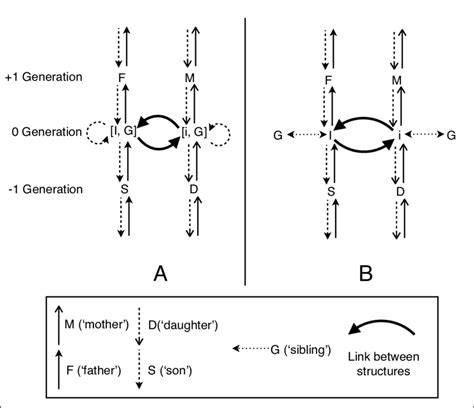Two Ways To Link Isomorphic Male And Female Structures Symbols Are