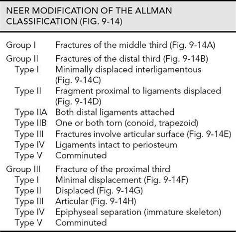 Clavicle Fracture Grade At Patricia Tamayo Blog