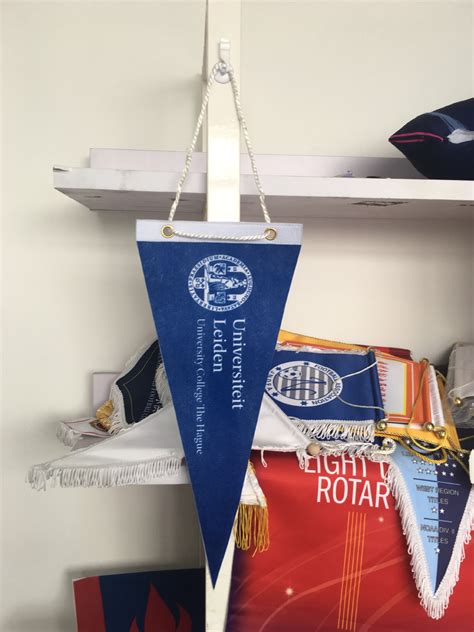 Custom Triangle Flag Cheap Custom Flags