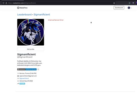 dashboard stuck on query timeout r wakatime
