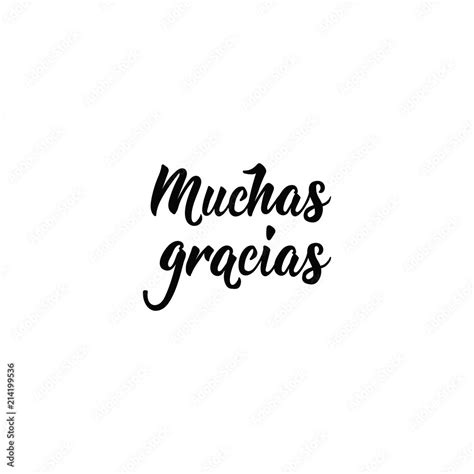 Text In Spanish Thank You Very Much Calligraphy Vector Illustration Muchas Gracias Stock