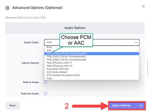 Fix Mov Import Issues Davinci Resolve Common Issues