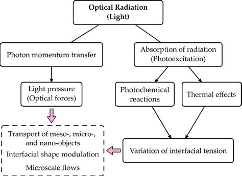 The Ways Of Light Energy Conversion Into Kinetic Energy Of Motion Download Scientific Diagram