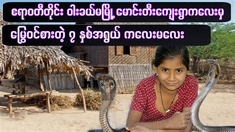 ဧရာဝတီတိုင်း ဝါးခယ်မမြို့ မောင်းတီးကျေးရွာကလေးမှ မြွေဝင်စားတဲ့ ၇ နှစ်အရ