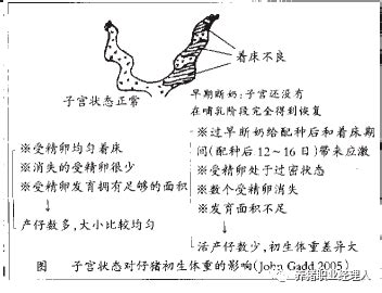 生产上如何提高受精卵的着床率 搜狐大视野 搜狐新闻