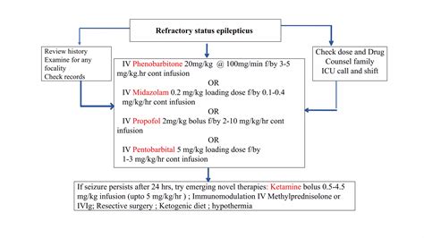 Status Epilepticus And Refractory Status Epilepticus Pptx