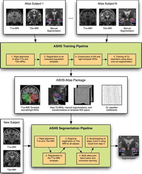 Figure 1 From Automated Hippocampal Subfield Segmentation At 7t Mri Semantic Scholar