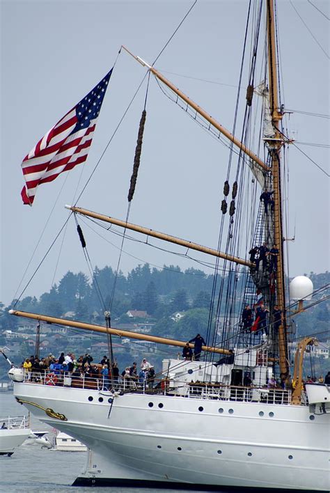 Cgc Eagle Photograph By Sonja Anderson Pixels