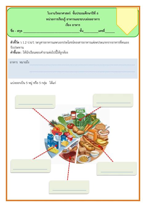 ใบงานวิทยาศาสตร์ป 6 แบ่งปัน Science Teaching Media Facebook