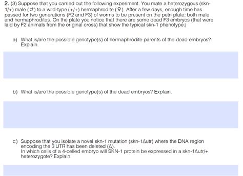 Solved SUMMARY Determination Of Sexual Phenotype Mammals Chegg Com