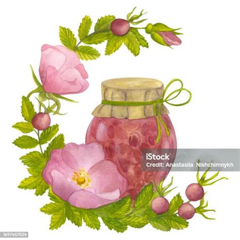 나뭇잎 꽃 열매가 있는 나뭇잎 야생 장미 유리병에 담긴 수제 로즈힙 잼 손으로 흰색 배경에 분리된 수채화 그림을 그립니다 로고 카드 인쇄 포장 디자인 직물 가을에 대한 스톡