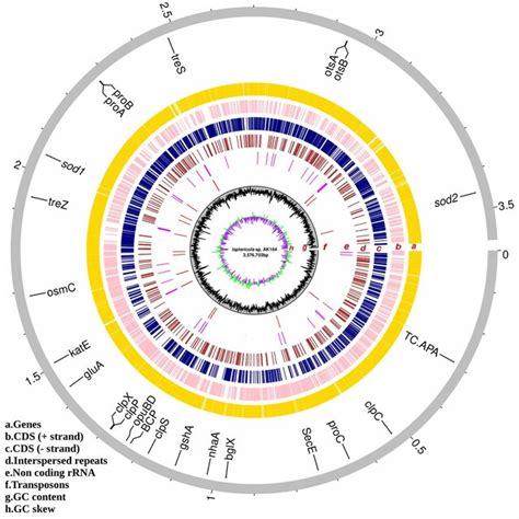 Mangrove Zonation Map Of The Philippines For Year 2020 Generated Download Scientific Diagram