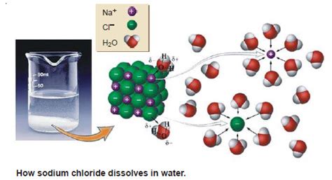 Solutions Of Solid Substances In Liquids Read Chemistry