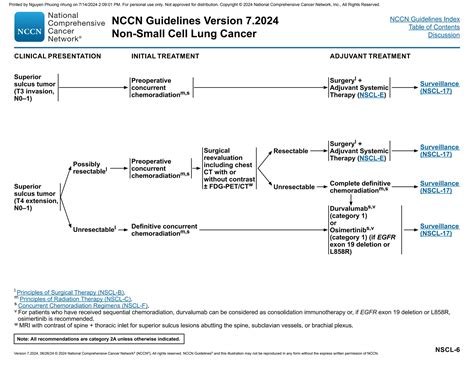 Nccn Clinical Practice Guideline In Oncology Pdf Lung And Respiratory Health Diseases And