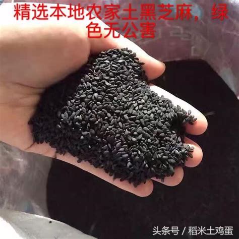 補鈣來一碗黑芝麻糊 每日頭條