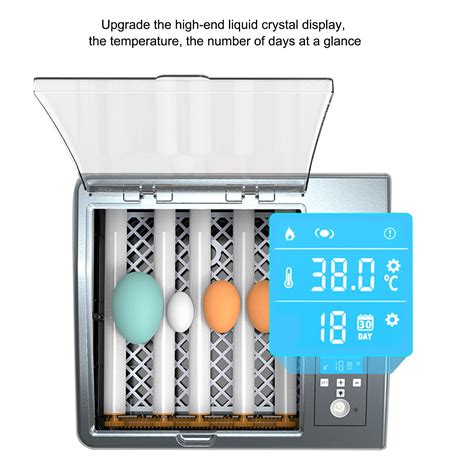 Incubator Egg Incubator Fully Automatic Digital In Grandado