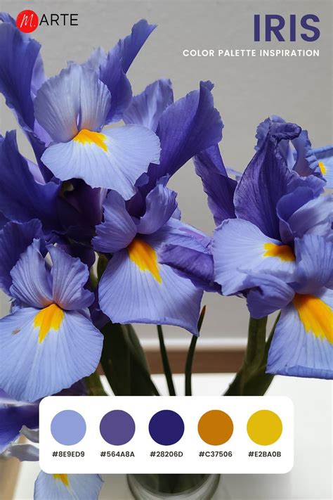 Color Palette Inspiration Iris Fiori Palette Colori