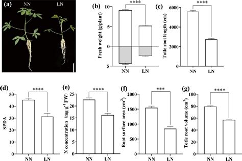 Figure 1 From Integrated Transcriptomics And Metabolomics Analyses