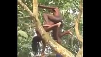 Sex In The Tree Videos XVIDEOS COM