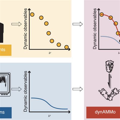 Schematic Of Dynamic Augmented Markov Models Dynammo Simulations Download Scientific Diagram