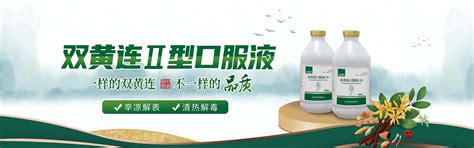 颗粒剂 江西中成药业集团