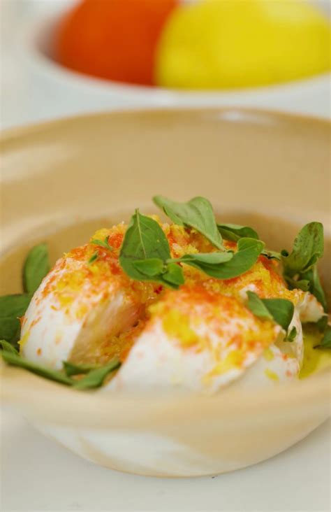 Receitas De Verão Burrata Com Tomate Congelado