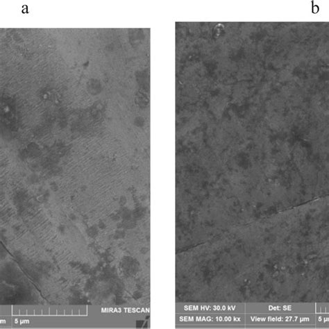 Surface Microstructure Of The Titanium Hydride Fraction Heat Treated