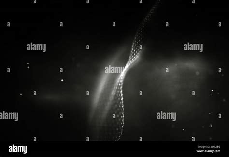 Black Technology Background Global Communication Network Concept Stock