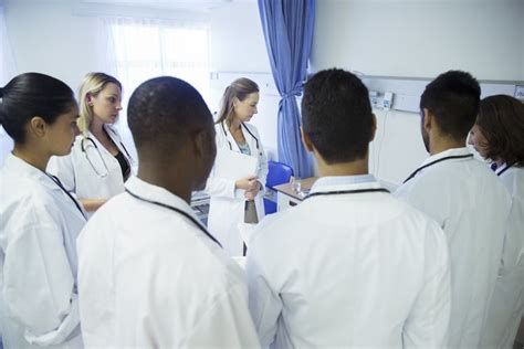 Med School Application Amcas Workactivities Section