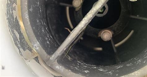 Impeller Wear Ring Album On Imgur